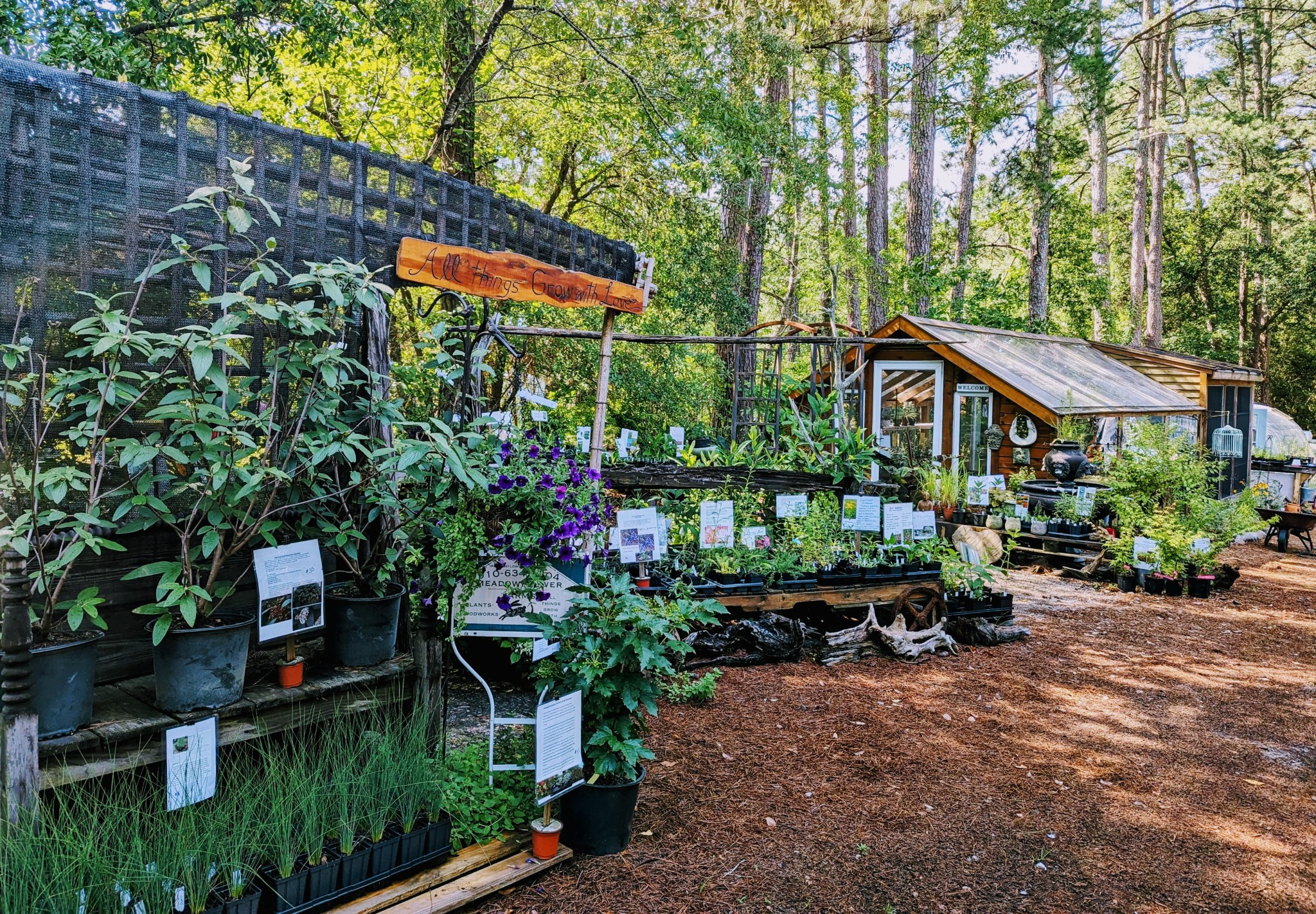 Meadowflower Farms – ALL THINGS GROW WITH LOVE