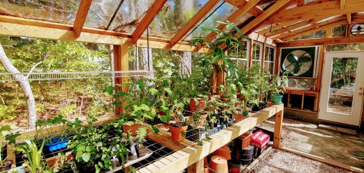 Meadowflower Farms – ALL THINGS GROW WITH LOVE