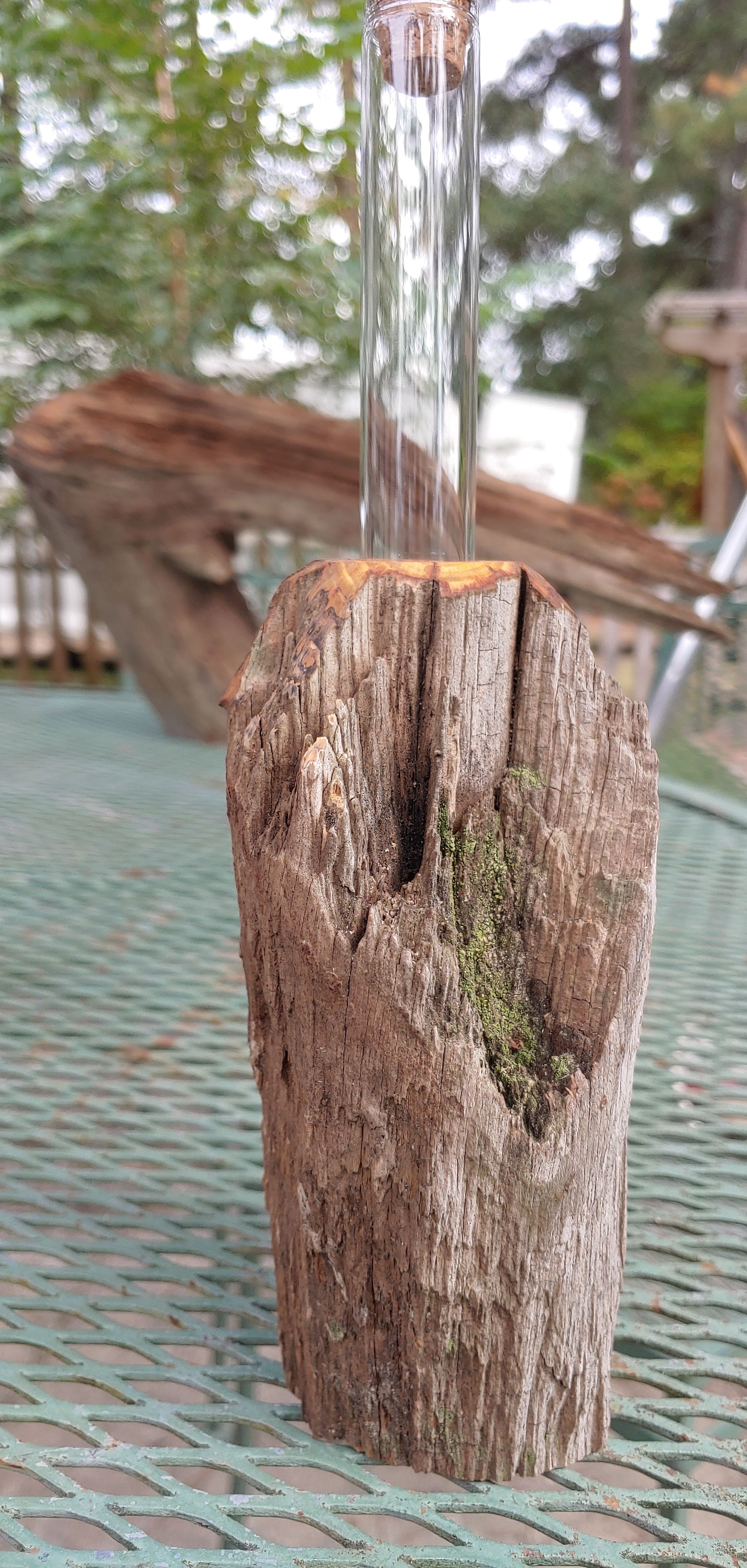 PROPAGATION STATIONS – Meadowflower Farms